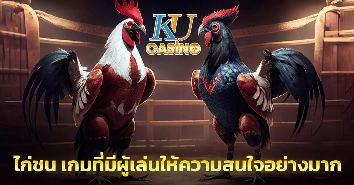 ไก่ชน พนันออนไลน์ที่มีผู้เล่นให้ความสนใจเป็นจำนวนมากในตอนนี้